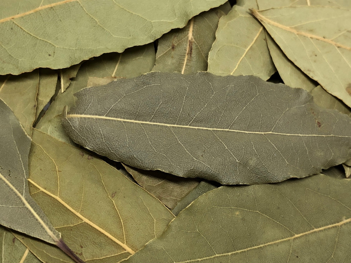 Bay Leaves | Buy Your Favorite Spices at Spice Hound