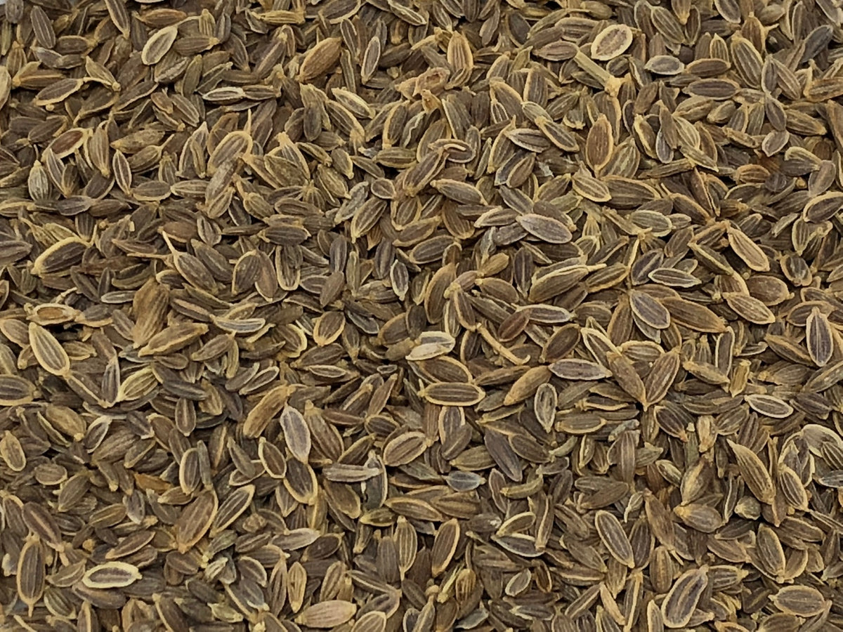 Dill Seeds | Buy Your Favorite Spices at Spice Hound