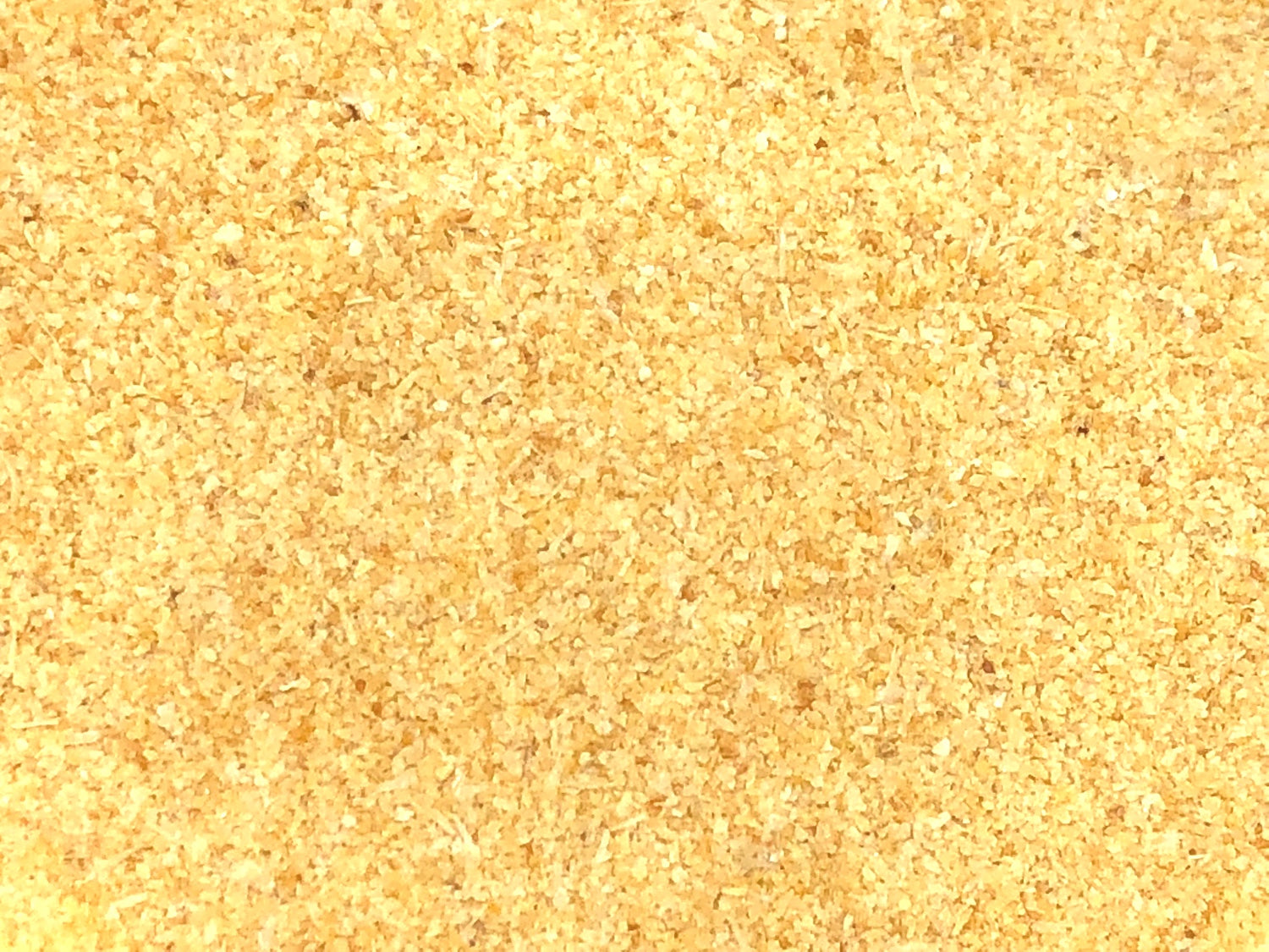 Garlic Granules | Buy Your Favorite Spices at Spice Hound