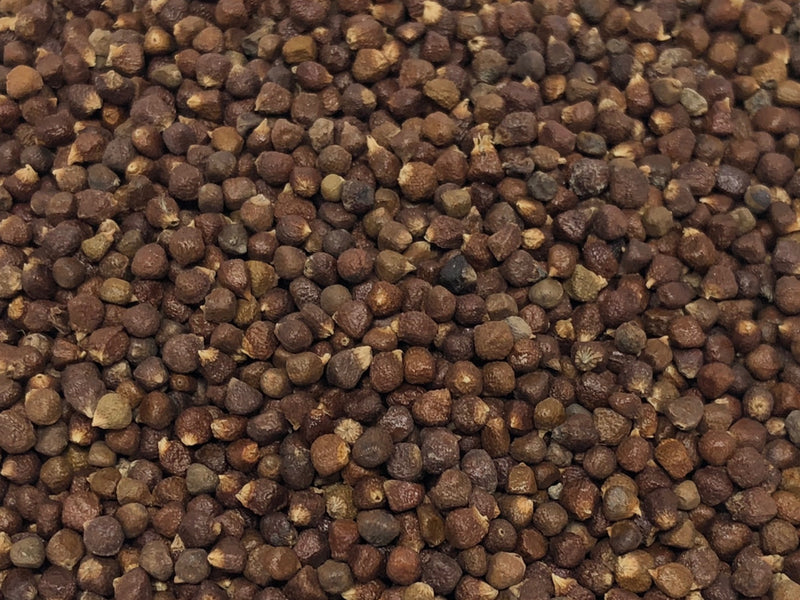 Spice Hound | Your Favorite Online Spice Shop