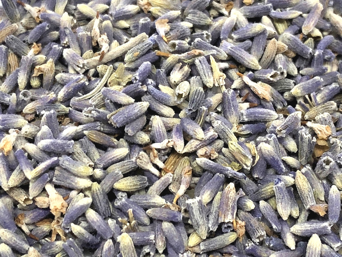 Lavender | Buy Your Favorite Spices at Spice Hound